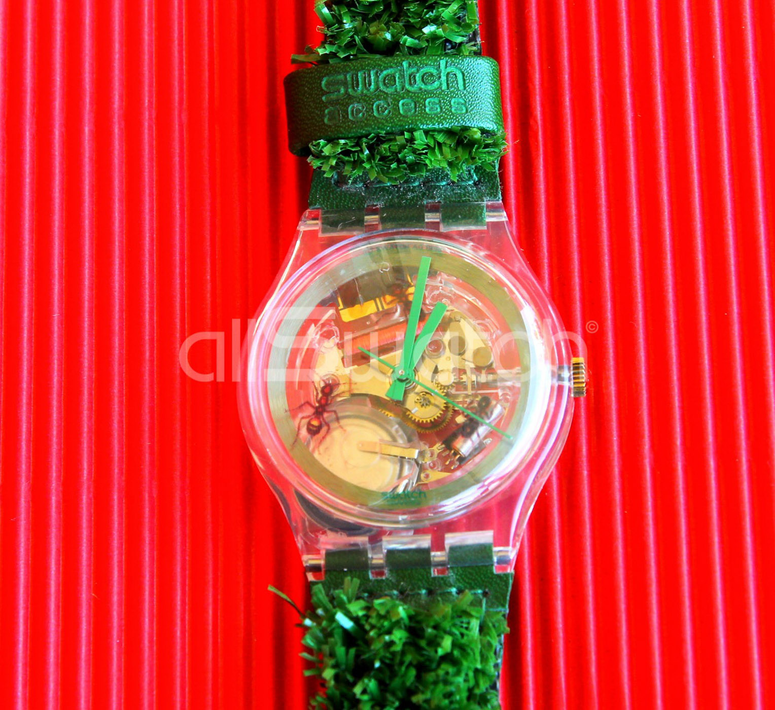 TICKINGFREE :: CATEGORIA :: SPECIAL / ARTIST PRODOTTO :: Swatch Special ...