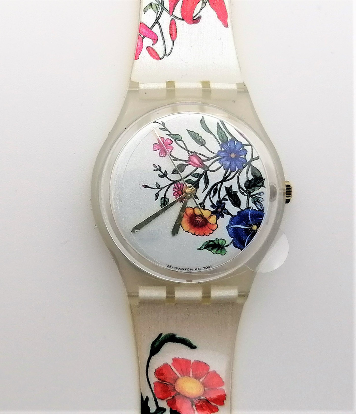 TICKINGFREE :: CATEGORIA :: STANDARDS / NEW GENT PRODOTTO :: Swatch ...